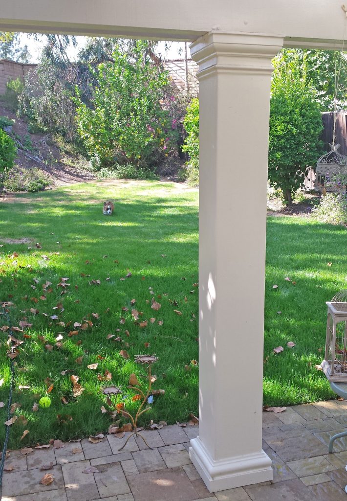 Square Tapered Columns for Backyard Project – Depot Digest